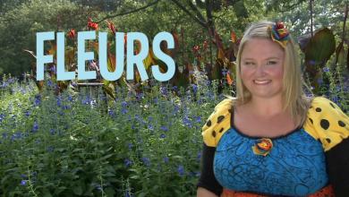 Mini TFO - Lecture de mots au parc | Idéllo